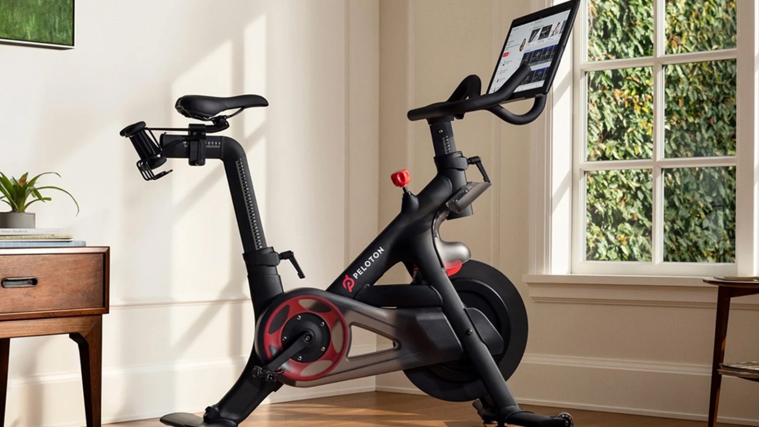 8 Best Stationary Bikes for Seniors in 2025 - Fitness Patron